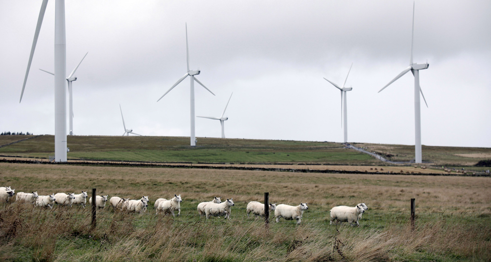 Wind power